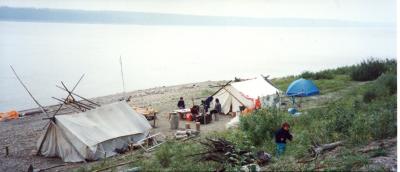 Camp Near Tree River | Gwich'in Social & Cultural Institute